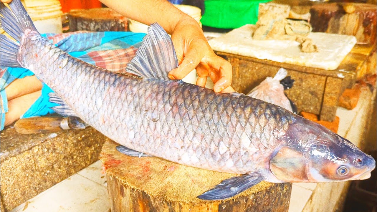 Amazing!!!!Big Grass Carp Fish Cutting By Expert Fish Cutter! Fish ...
