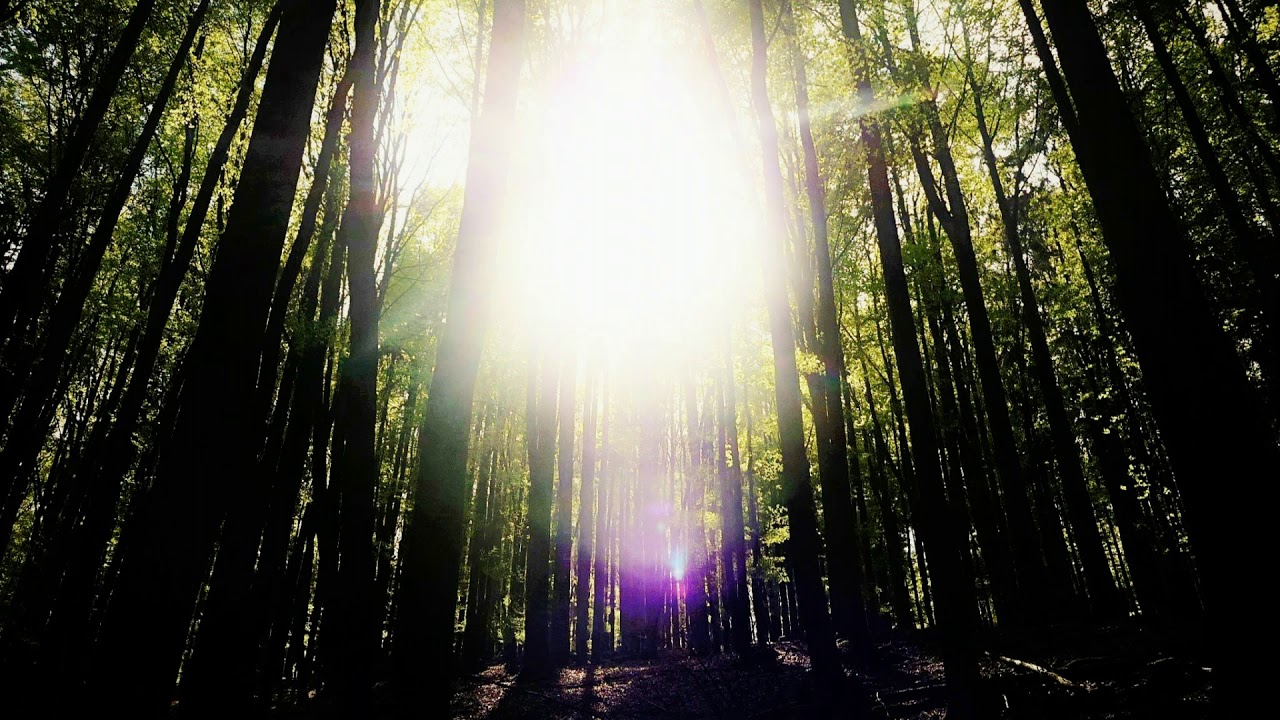 Van Tamm - Things - YouTube