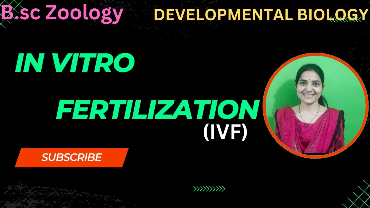 Invitro fertilization B.Sc 3rd Year||Test Tube Baby||Invitro ...
