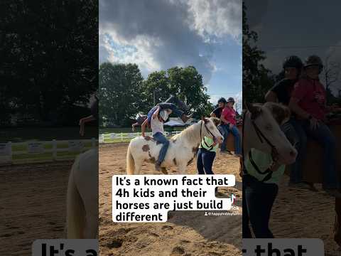 Trick riding at the Fair #4hkids #4hhorse #horses#horsekids #horsefun#equine#kidswithanimals#ponies