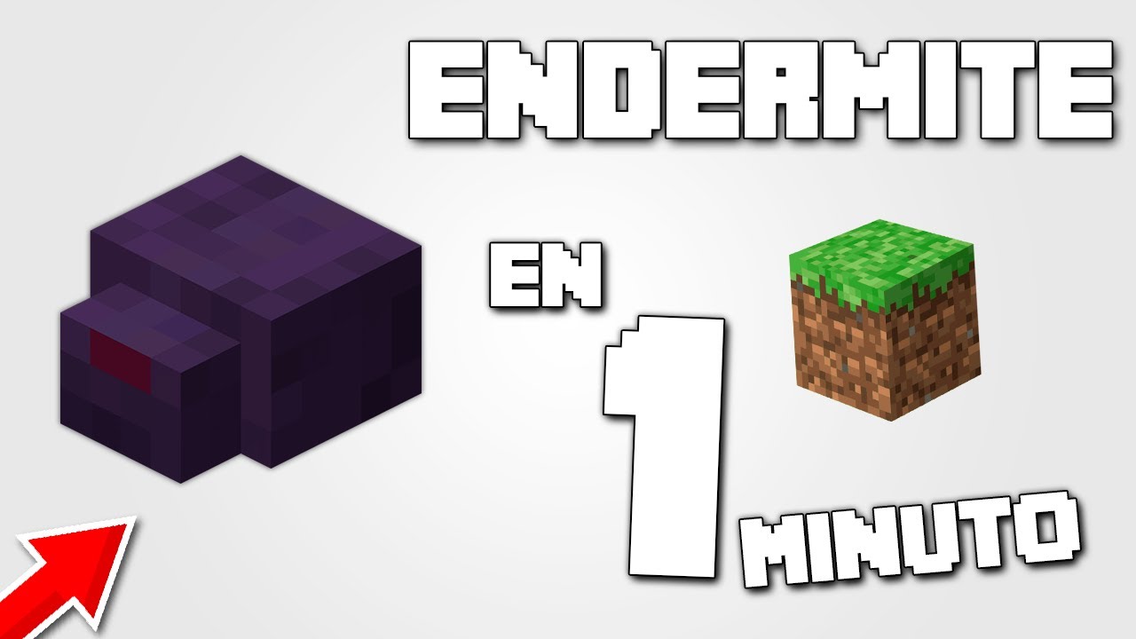 ENDERMITE EN 1 MINUTO | Minecraft - YouTube
