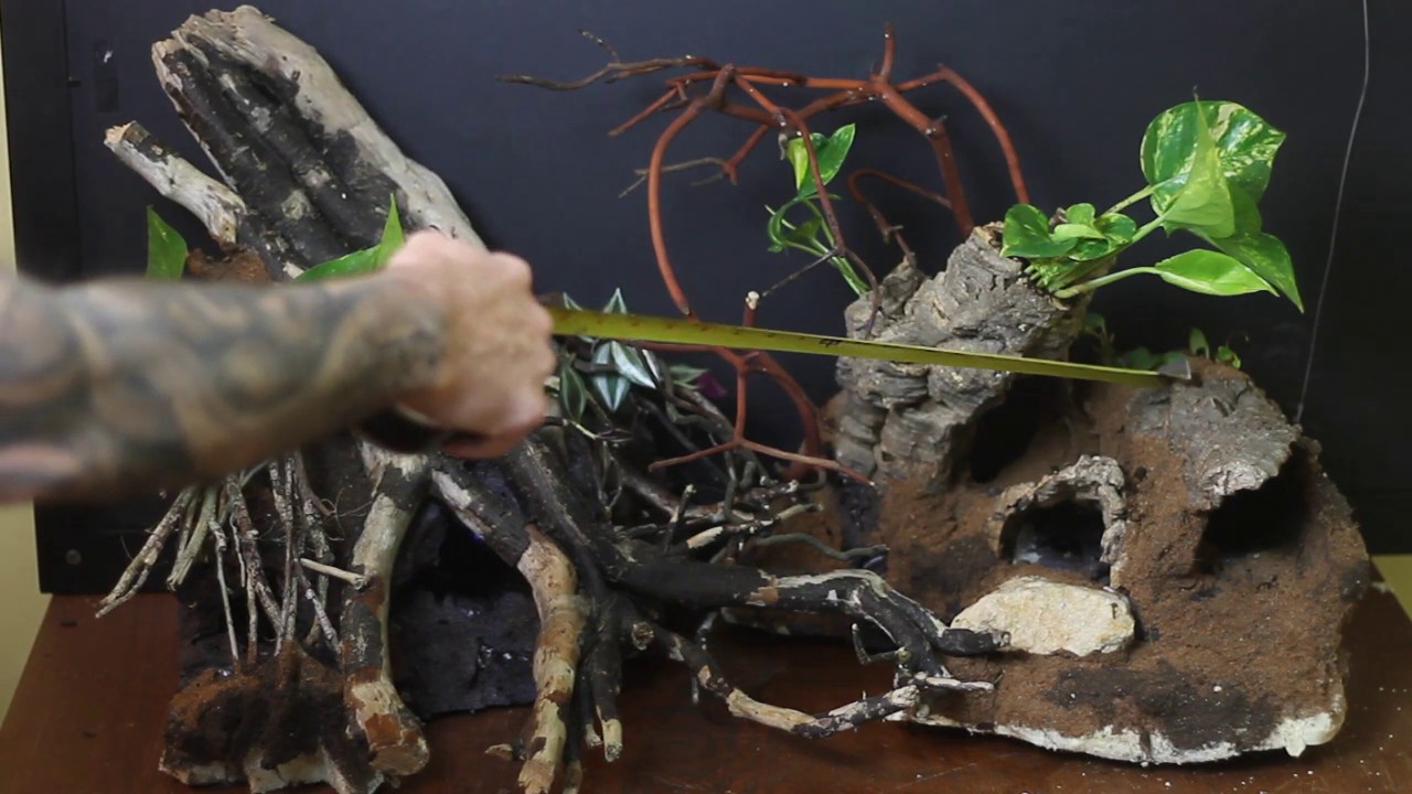 Bioactive Rainbow Boa Tank Build part 1: hardscape - YouTube
