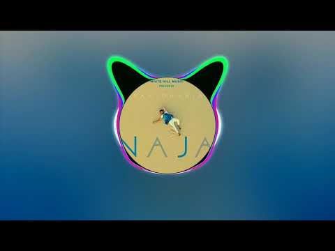 Pav Dharia - Naja Punjab song (xxXMusical SaraaXxx)