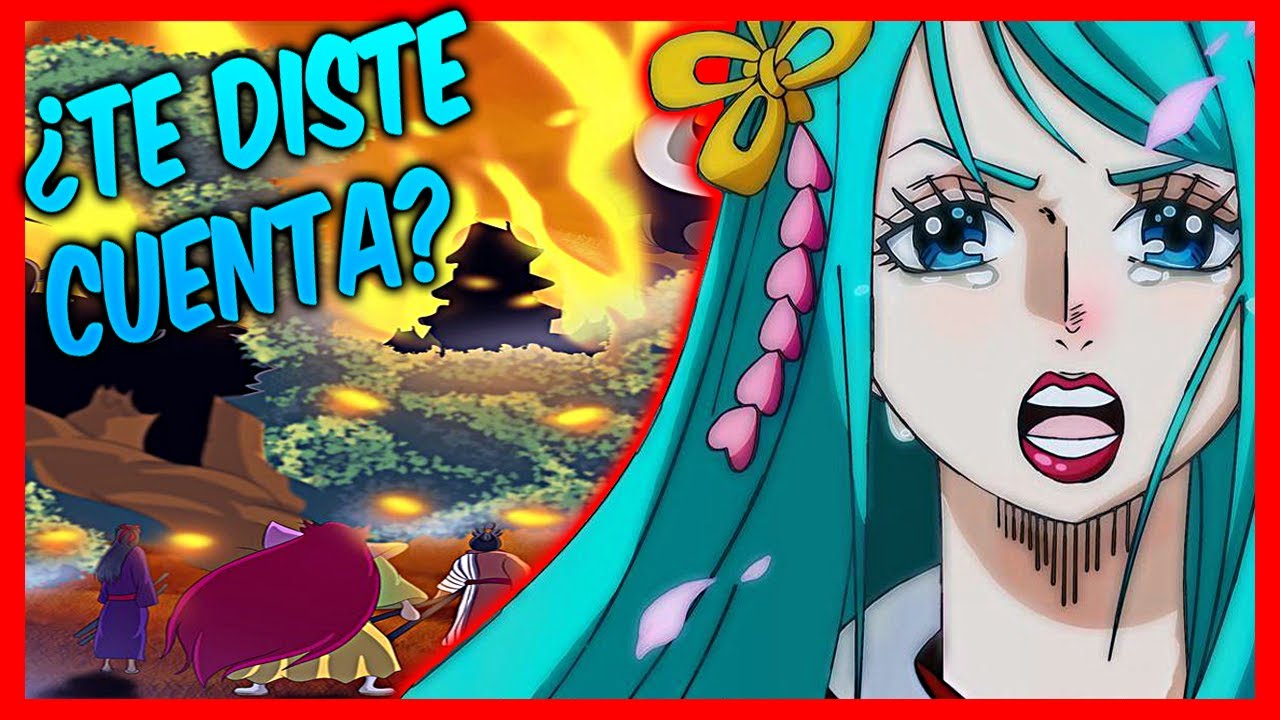 🎯ONE PIECE 972 Análisis y Curiosidades - YouTube