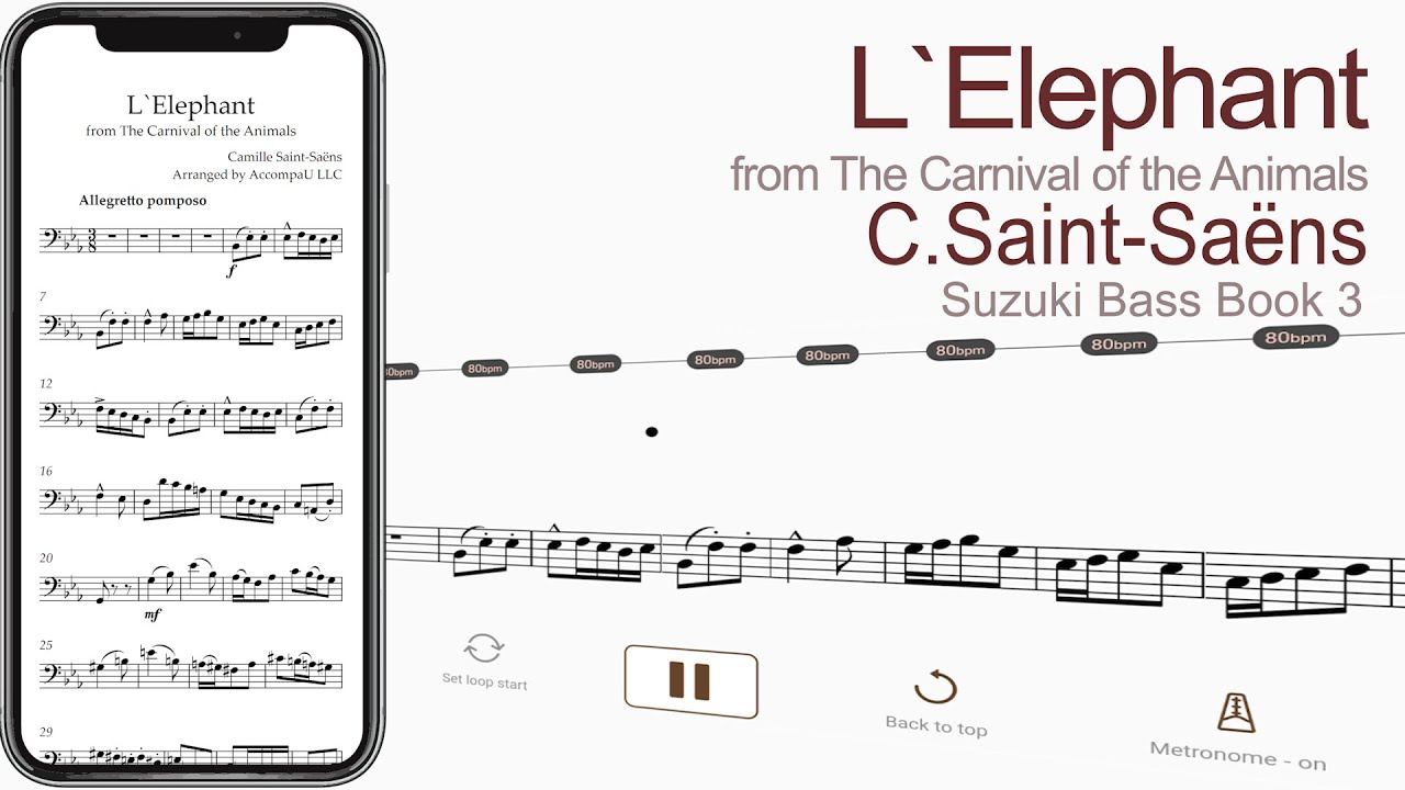 L`Elephant from The Carnival of the Animals | C.Saint-Saëns 【 Bass ...