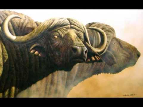 Introduction to Andrew Bone - YouTube