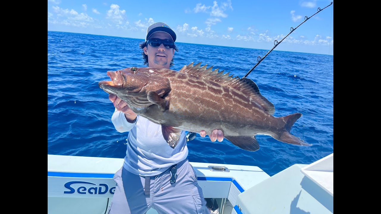 Fishing for Black Grouper, Mutton Snapper, and More #fishing - YouTube