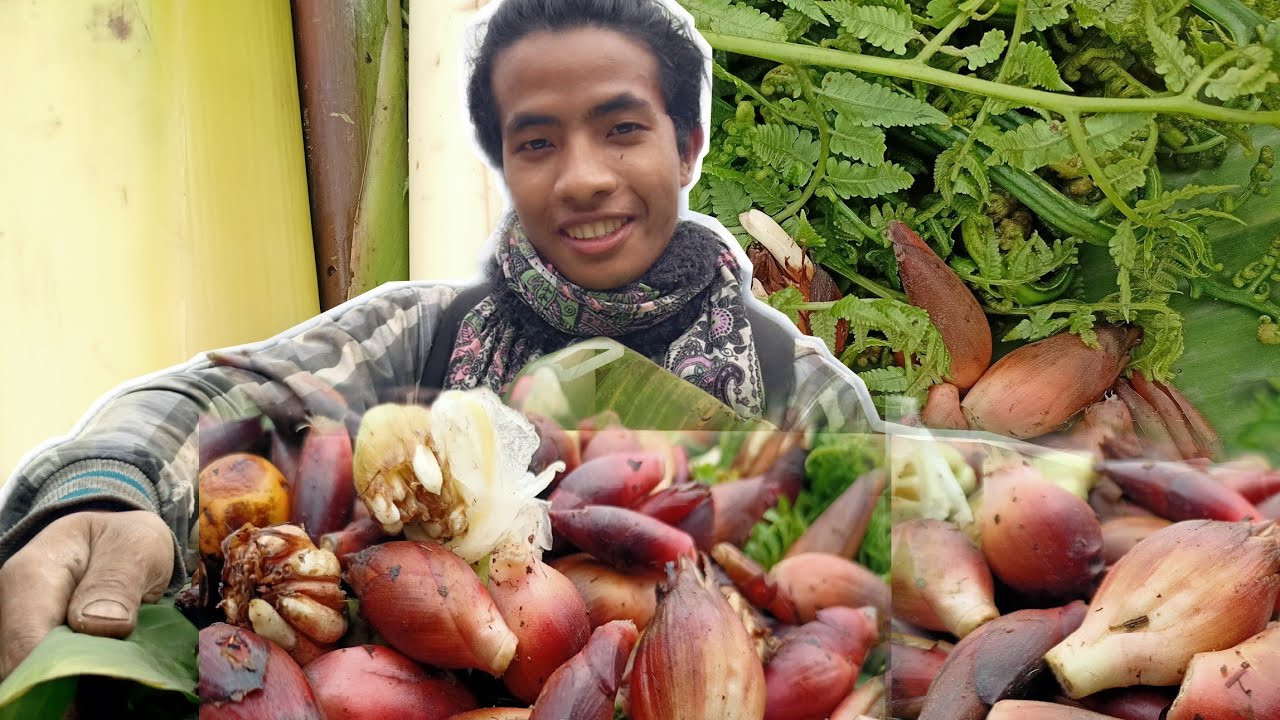 Collecting Wild Vegetables || Cook And Eat || Ep:3 - YouTube