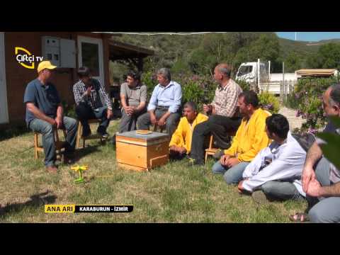 ANA ARI - 31. BÖLÜM