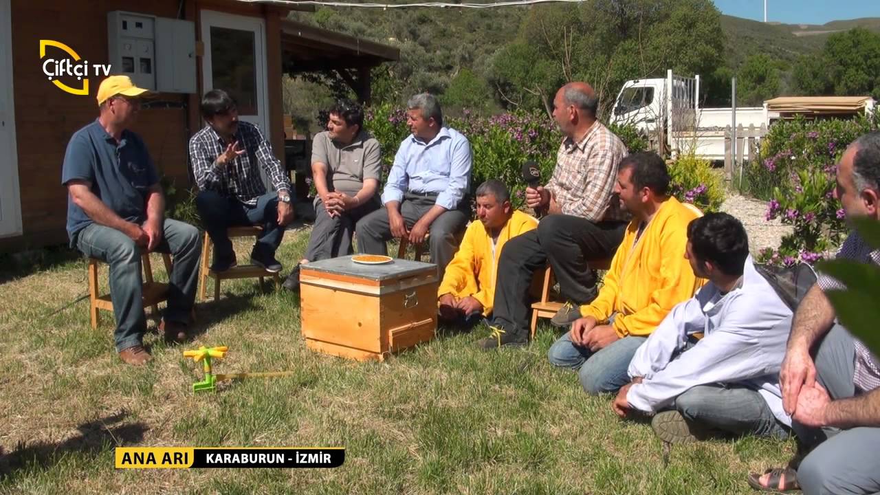 ANA ARI - 31. BÖLÜM - YouTube