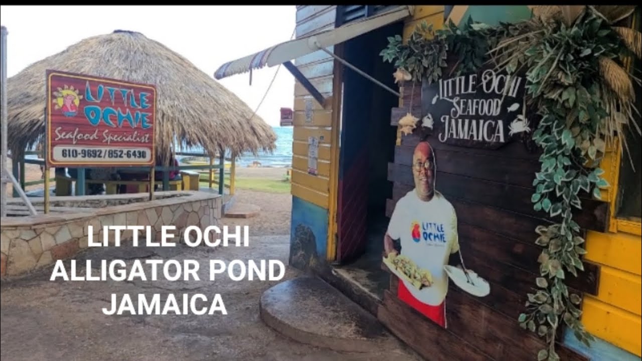 Discovering the Majestic Little Ochi Jamaica's Hidden Gem! - YouTube