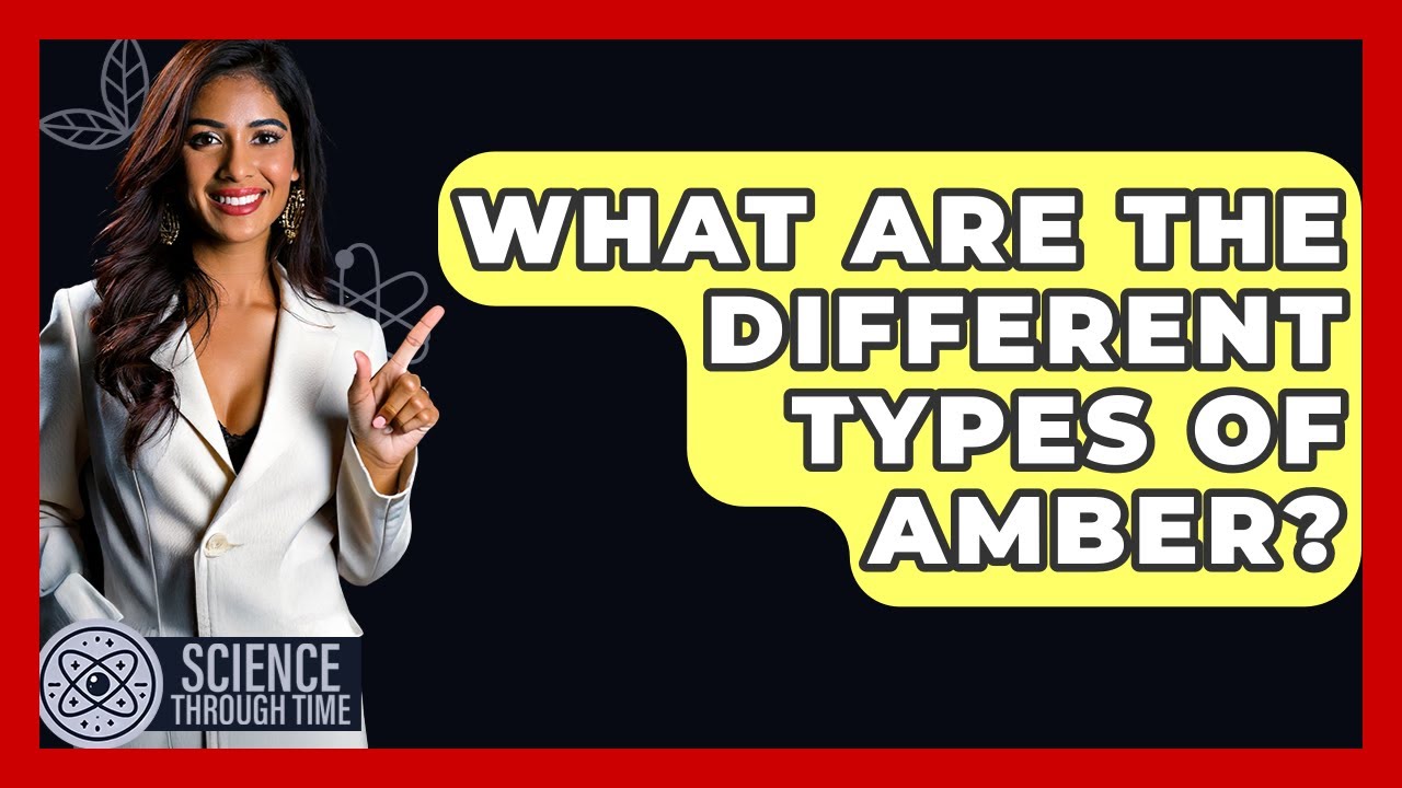 What Are The Different Types Of Amber? - Science Through Time - YouTube
