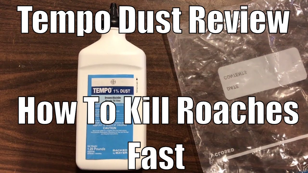 Tempo Dust Review and How to Kill Roaches Fast - YouTube