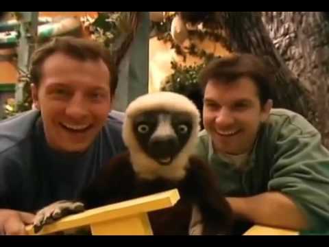 Zoboomafoo Cap. 40: Hora de Jugar - YouTube