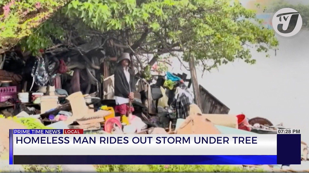 Homeless Man Rides out Storm Under Tree | TVJ News - YouTube
