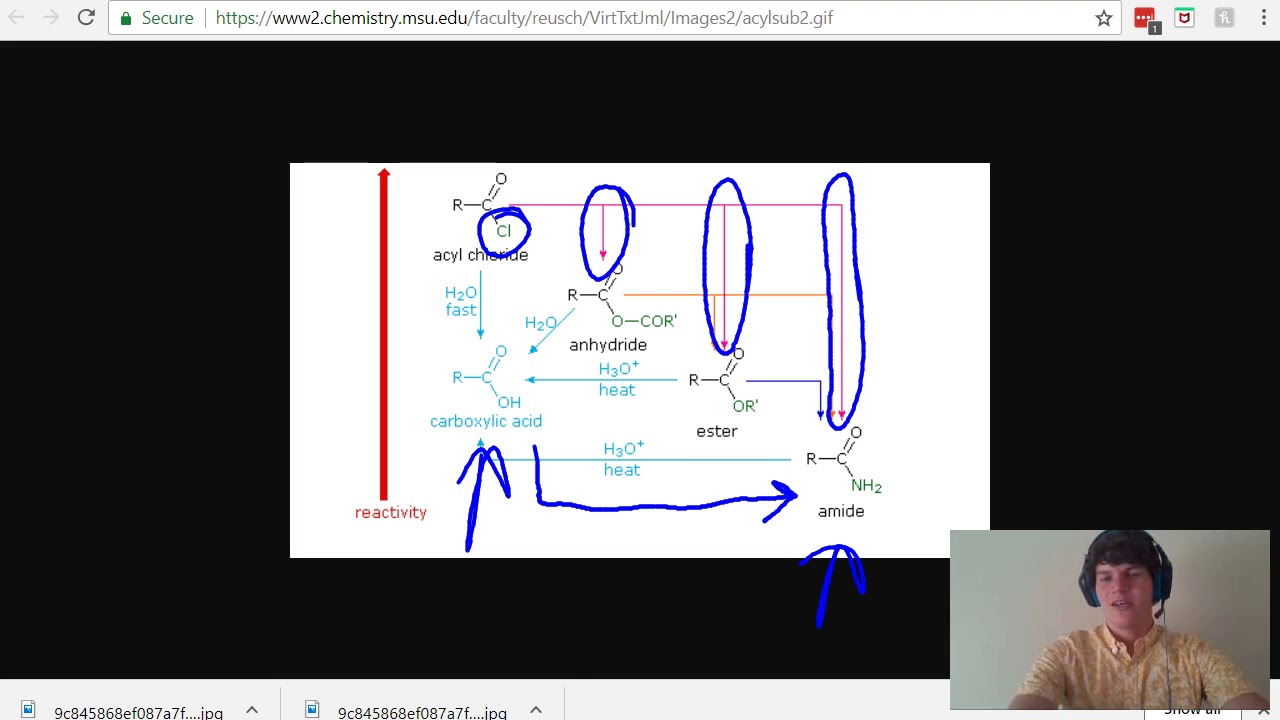 MCAT Question of the Day: Carboxylic Acid and Amide Reactivity - YouTube