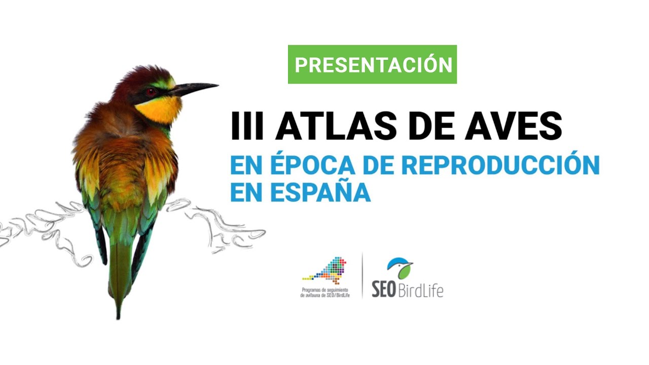 Atlas De Aves En época De Reproducción En España Seobirdlife Youtube