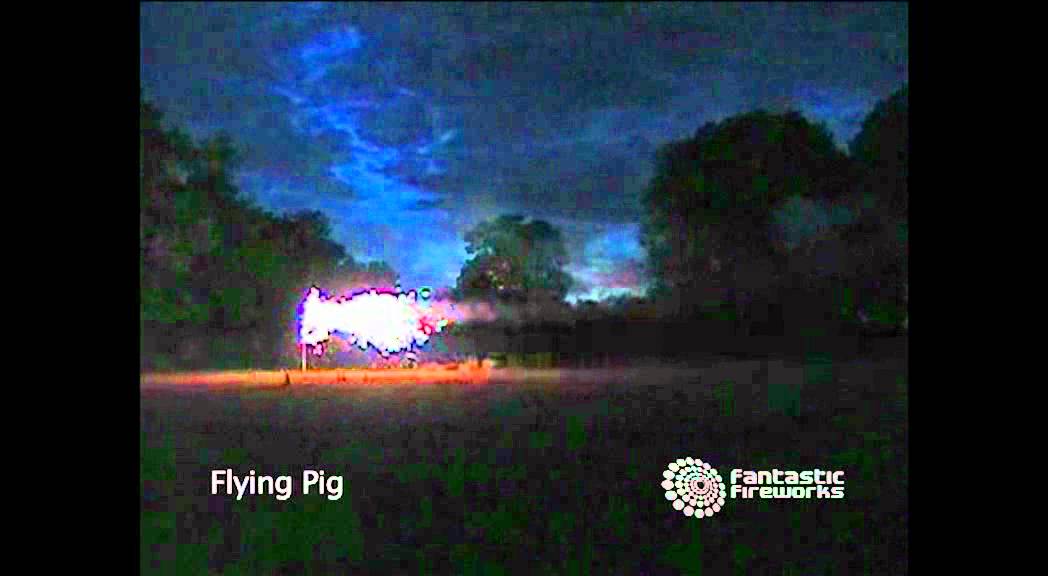 Flying Pig by Fantastic Fireworks - YouTube
