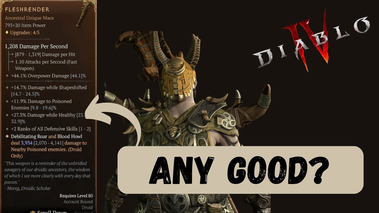 The Fleshrender is completely useless? Let's test its damage! Diablo 4 ...