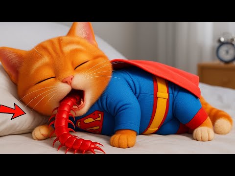 😱OMG! Super Kitten Miyo Turns Into a Monster After Eating a Magical Bug | Epic Cat Animation