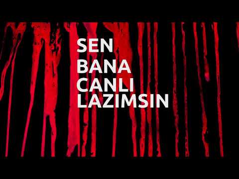 Gökçe Özgül - SBCL (Official Lyrics Video)