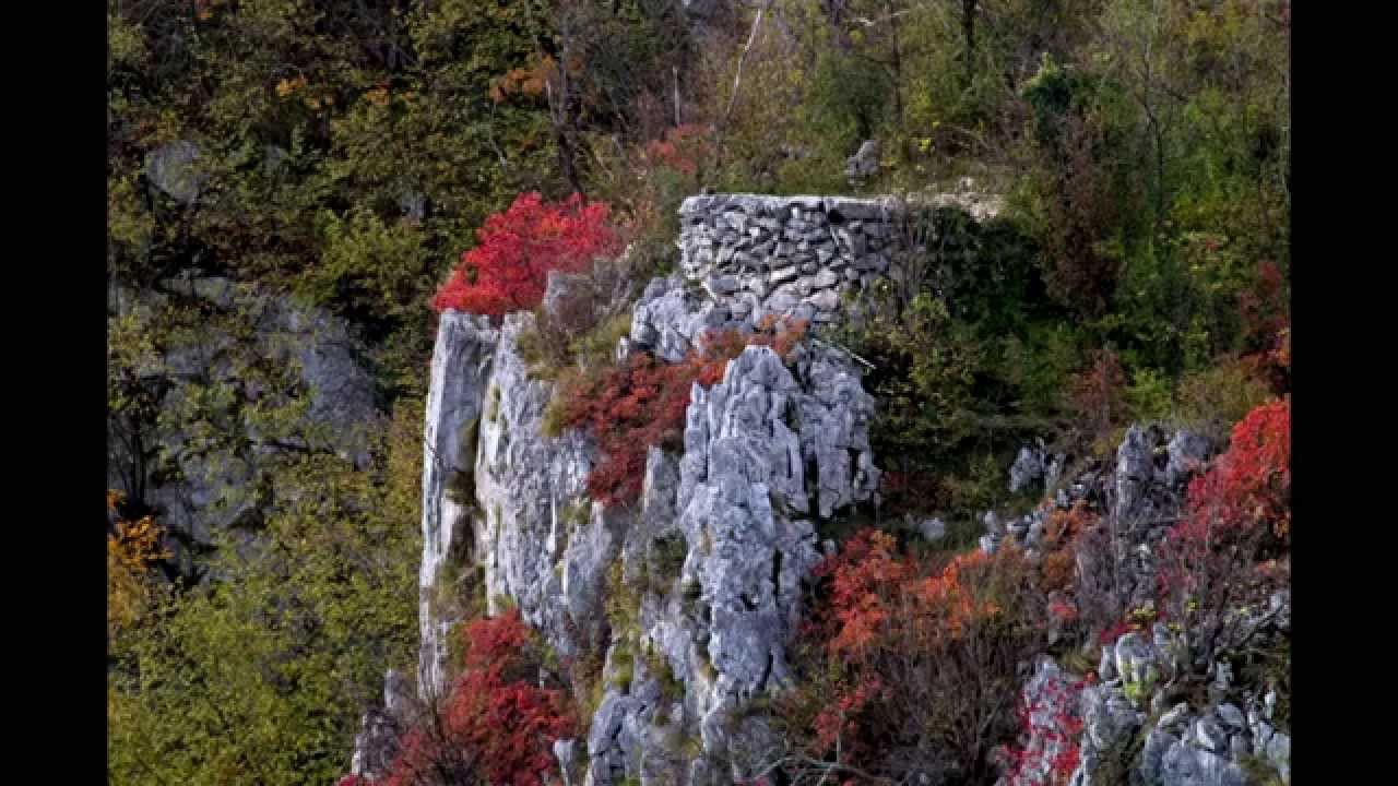 Luboš Zeman - fotograf - YouTube