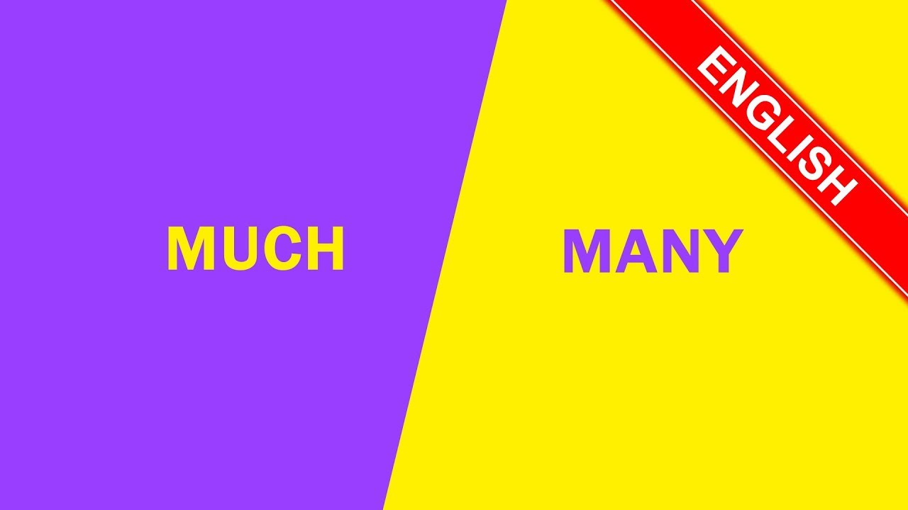 Many or Much the solution you are looking for - #much #many #vocabulary ...