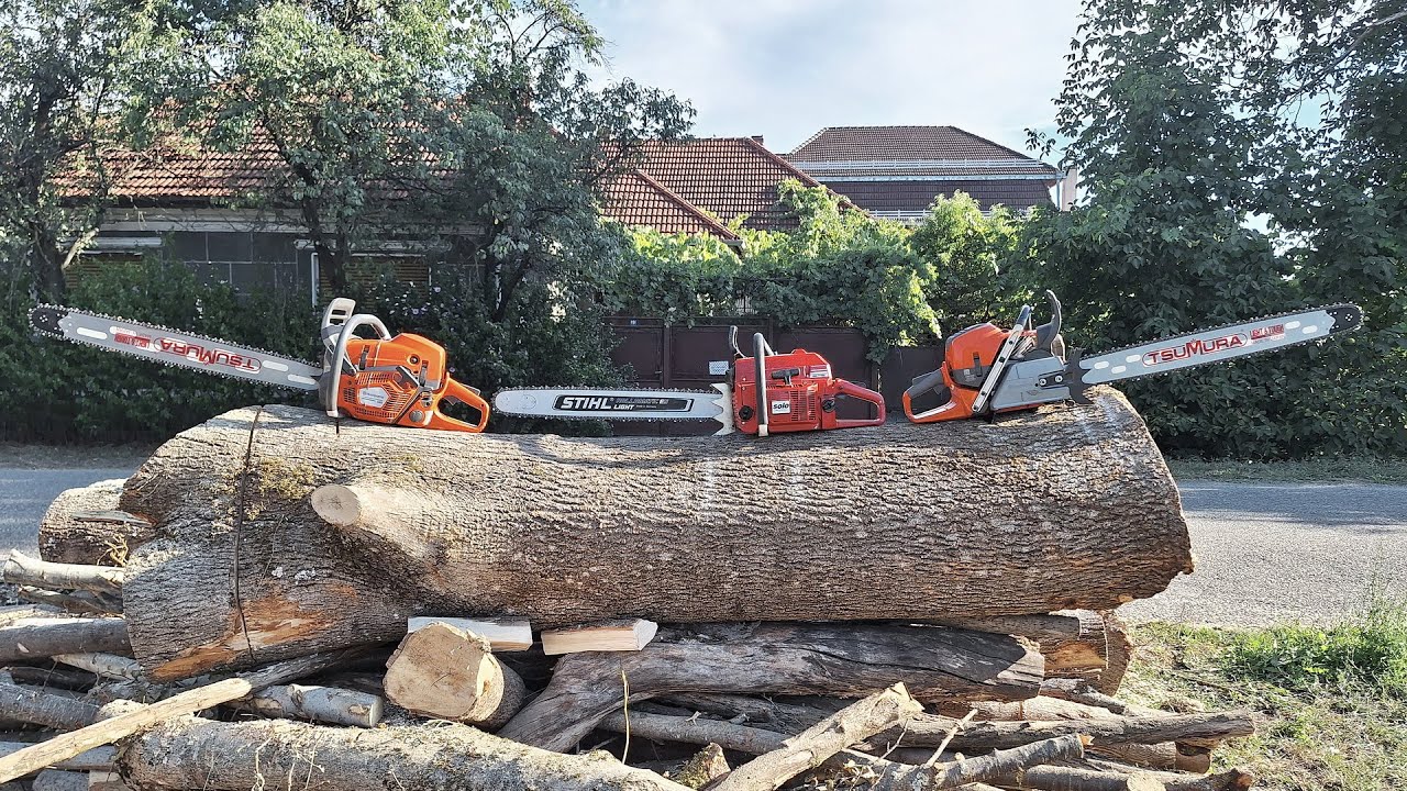 Solo 690, Husqvarna 592xp, 585 & 372 OE cutting very hard wood - YouTube
