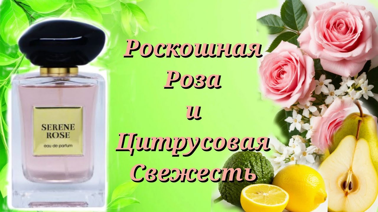 Serene Rose FW бюджетная копия Rose Milano Giorgio Armani - YouTube