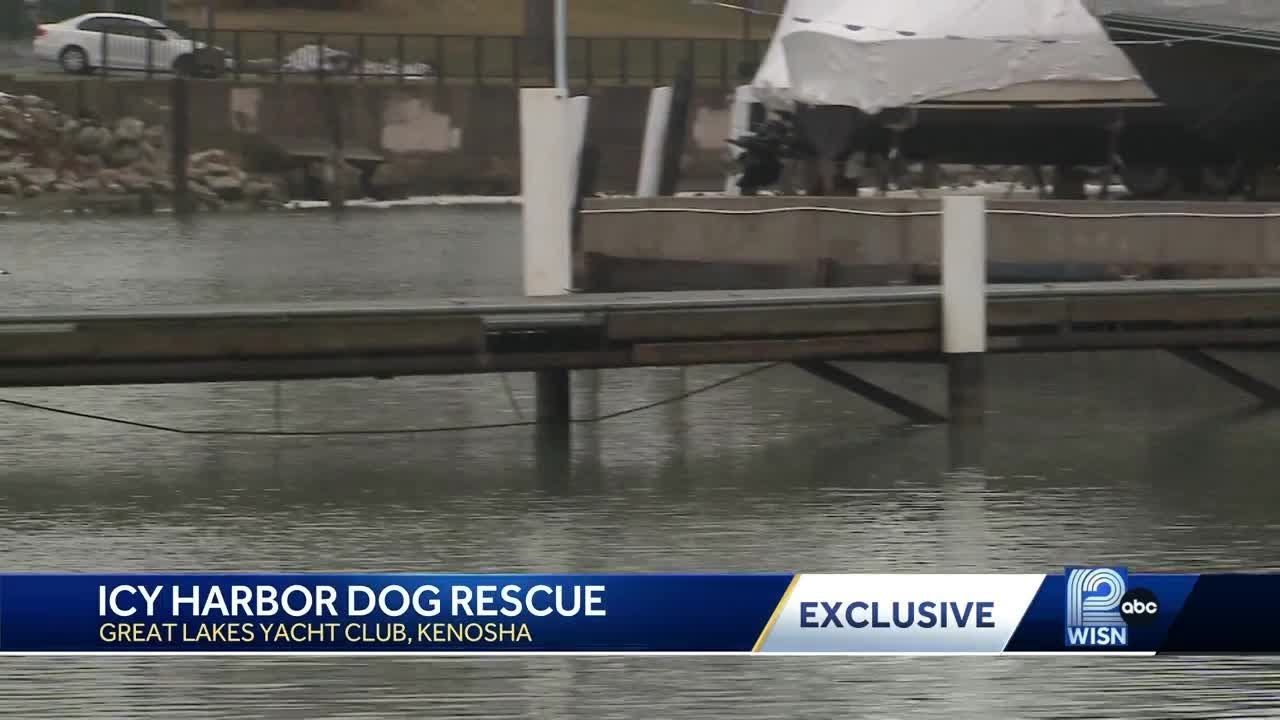 Kenosha Coast Guard rescue dog in icy water - YouTube
