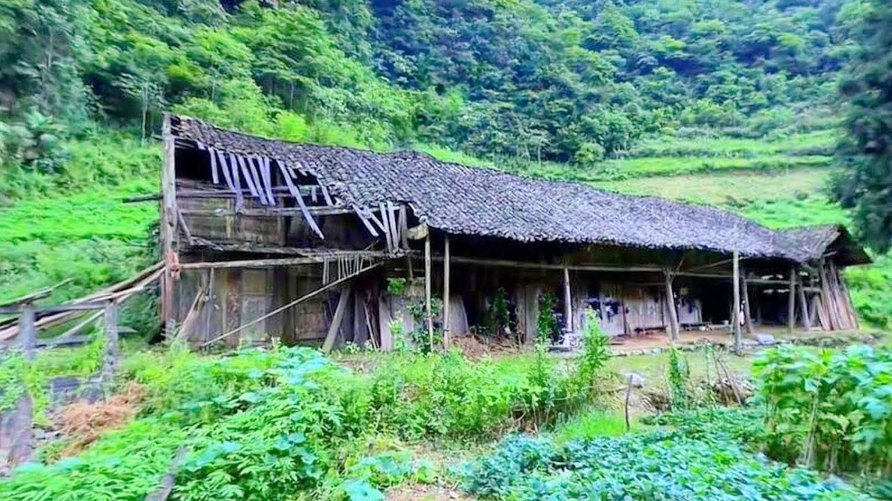 Leaving the city ~ The boy returned to renovate his father's old house ...