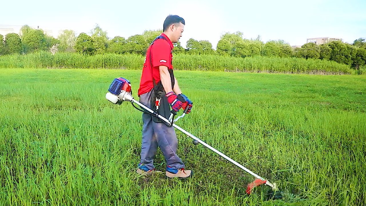 EMTOP Chapeadora, Cortadora de césped y arbustos EGTC4321 - YouTube