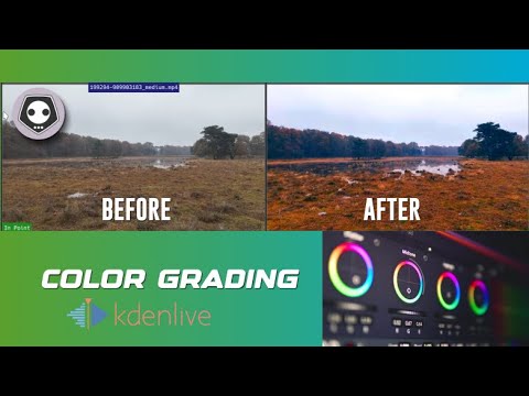 💐🌷🪷🌹🧘‍♂️KDENLIVE color grading technique FOR PROFESSIONAL - YouTube