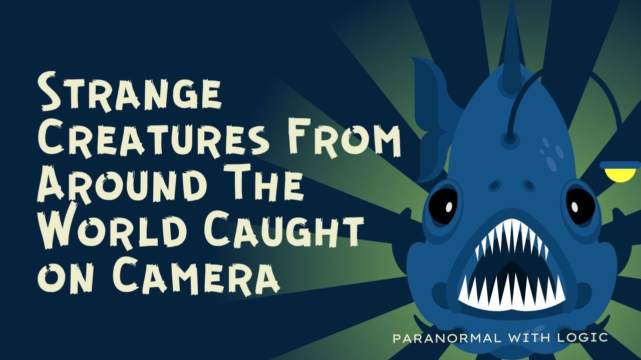 Strange Creatures from Around the World Caught on Camera. - YouTube