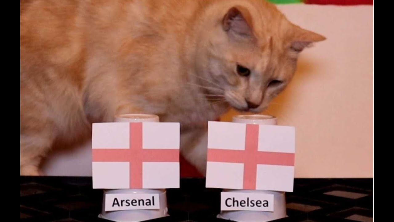 Chelsea FC Vs Arsenal FC - Cats FA Cup 2019/20 Final Prediction - YouTube