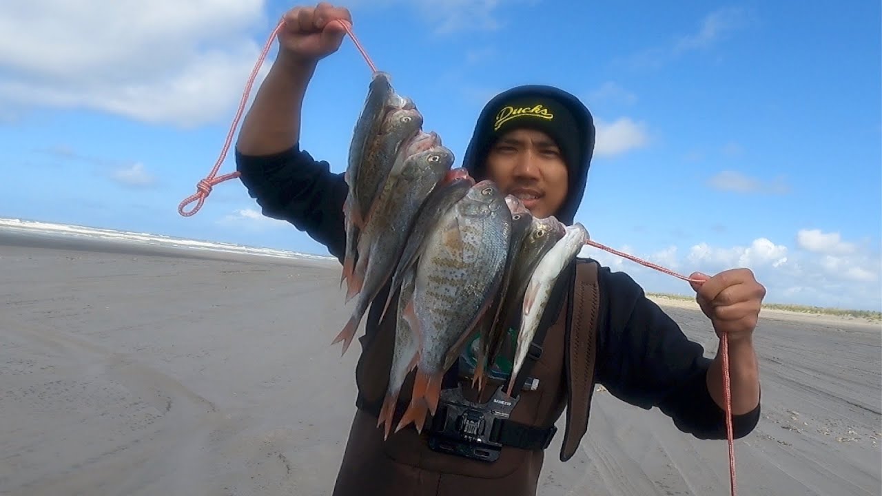 PNW Washington Surf Perch fishing - YouTube