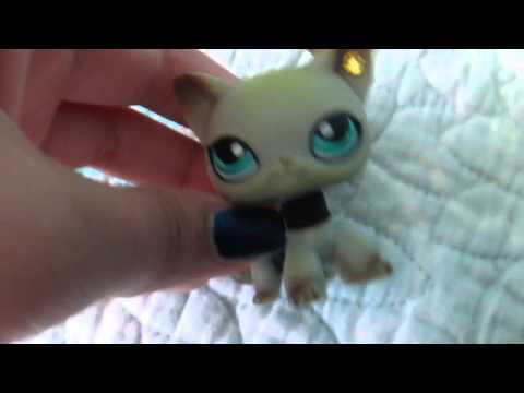 Lps trading cat 391 (check out description ) - YouTube