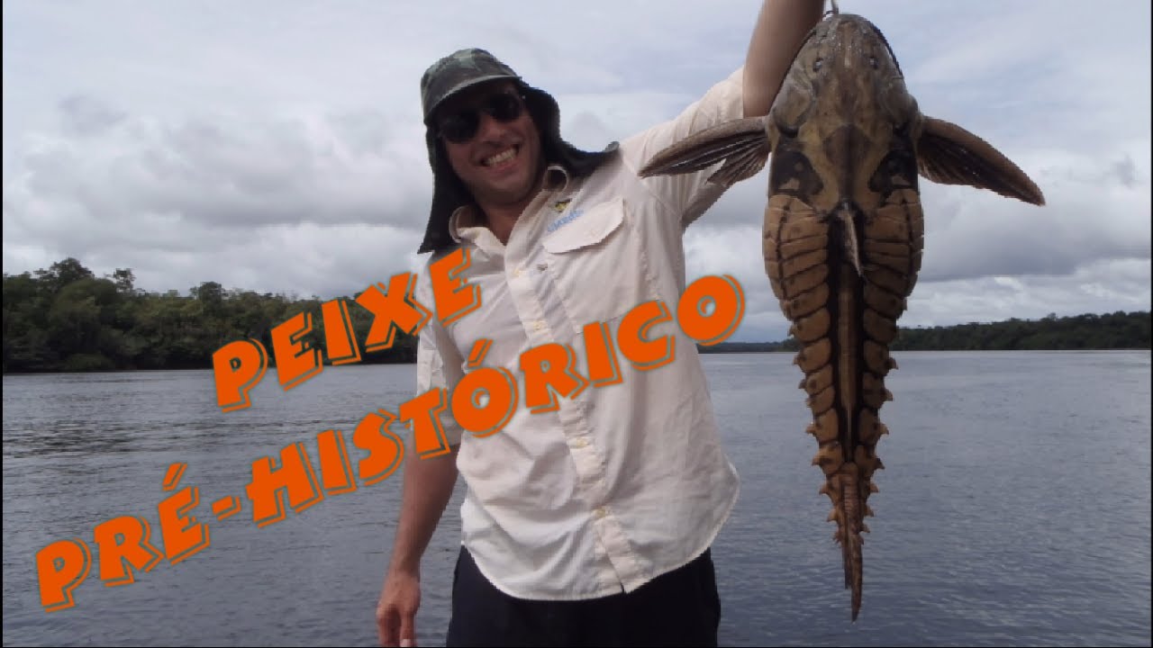 Peguei um peixe pré-histórico - Armau Abotoado - Amazonas - YouTube