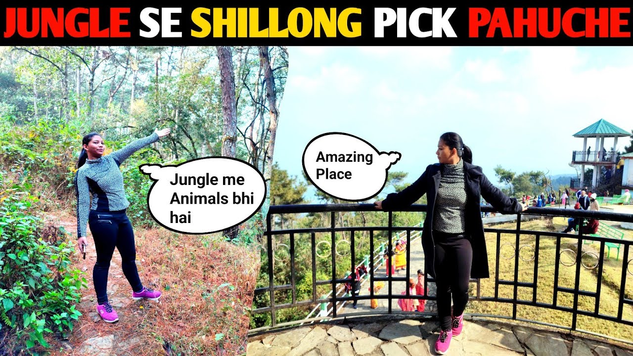 Jungle Adventure from the Wild to Shillong Pic Incredible Journey 🤯🤯 ...