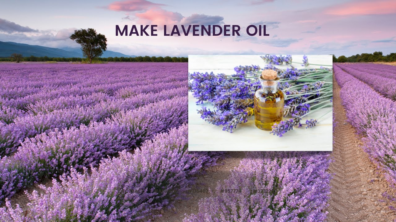 FS22 make lavender oil - YouTube