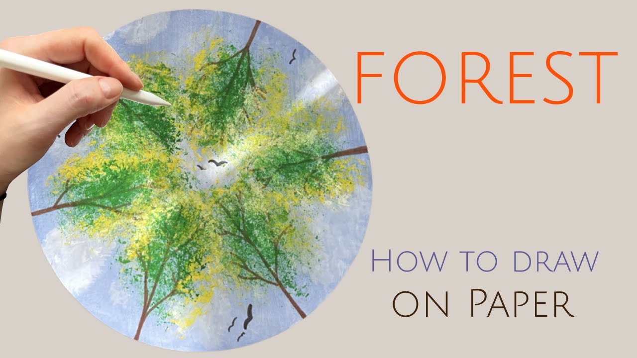 The Easy Way to Explore a Sunny Forest Without Getting Lost | drawing ...