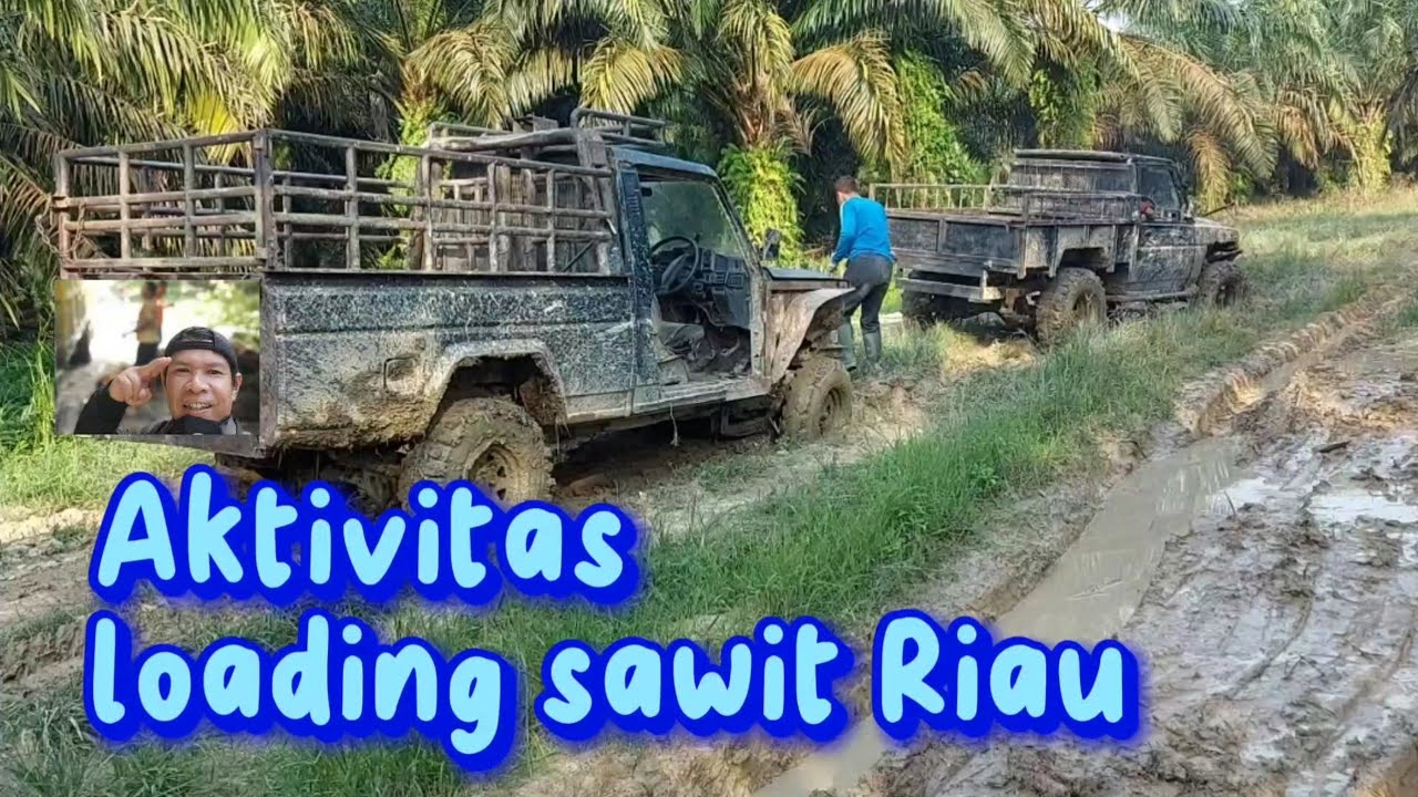 🟢Kompilasi‼️Aktivitas loading sawit‼️Di Riau👍👍👍 - YouTube