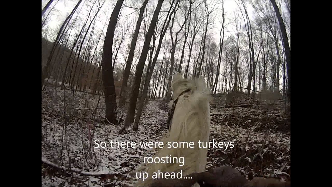 Thanksgiving Eve Snow Ride on Racking Horses Chanel .... with Turkeys ...