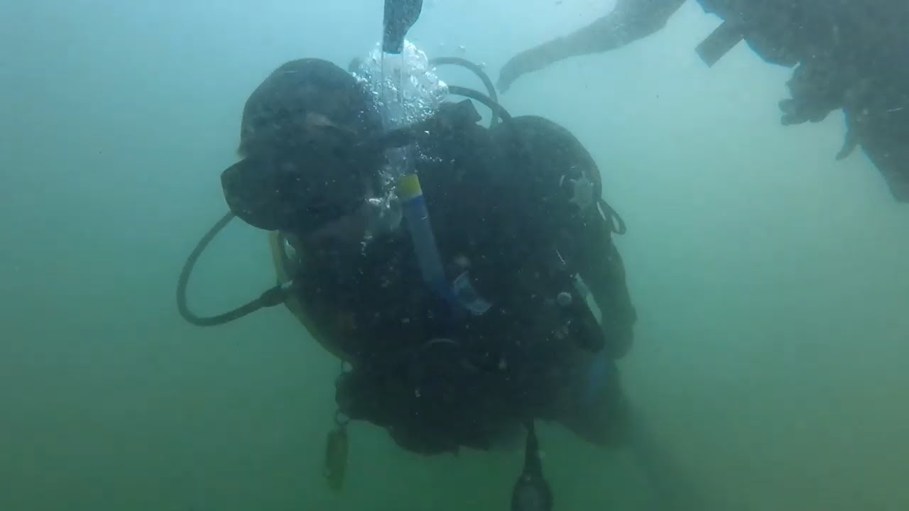 Scuba Diving In Seattle - YouTube