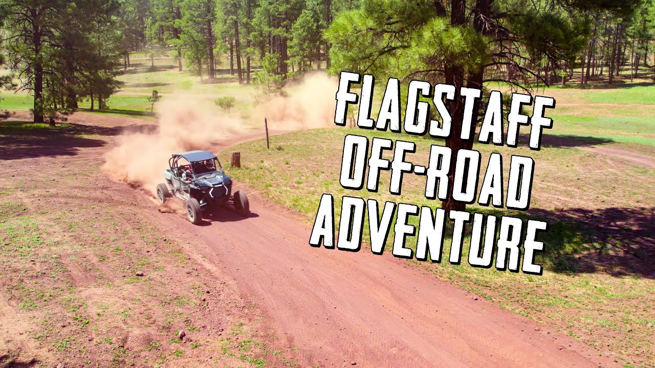 Take an Off-Road Adventure in Flagstaff and Find Your High Country ...