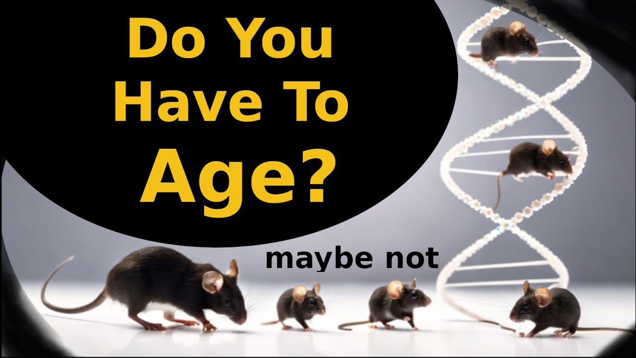 Do You Have To Age? Maybe Not - Part 1 - New Anti Aging Science is ...