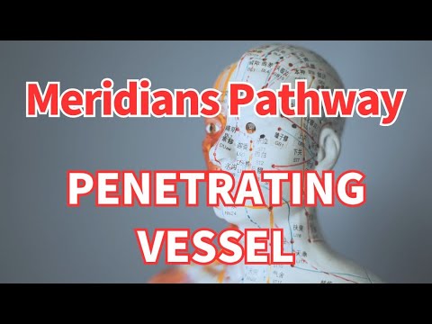 ACUPUNCTURE learning series - THE PENETRATING VESSEL(Chong Mai) /针灸学习系列 ...