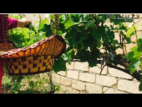 qışa yarpağ hazırlamaq/yarpağ dolması/sessiz vlog/silent vlog