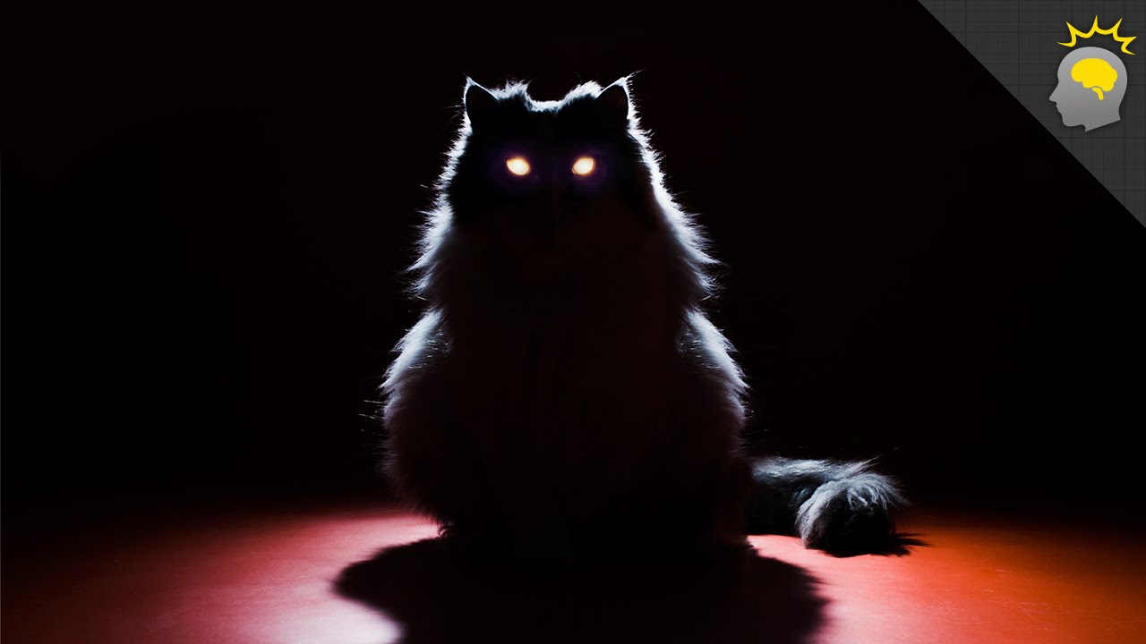 Creepy Cat Eye Glow Science On The 69 YouTube