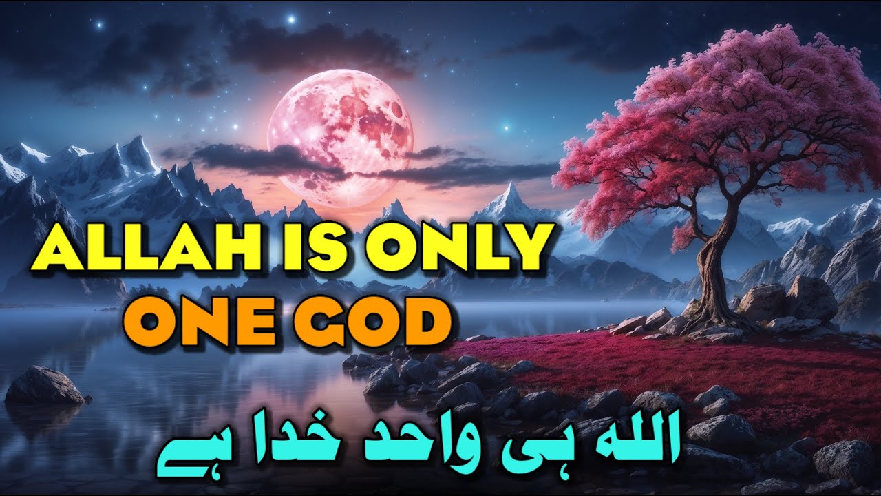 Allah Is Only One☝️ God | Islamic Video By Quran Ki Baatien - YouTube